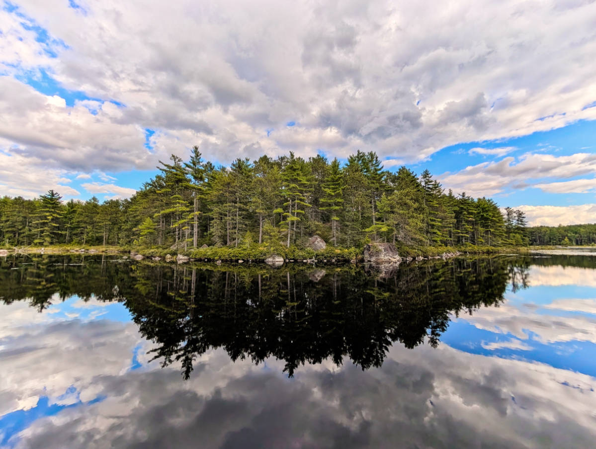 Wildlife Tours at NEOC: Looking for Moose and More in the Highlands of ...